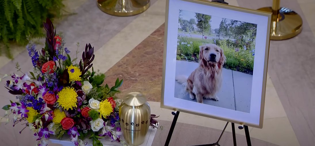 Why Melissa Hortman’s Dog Was Honored at the Minnesota Capitol - Kbsd6