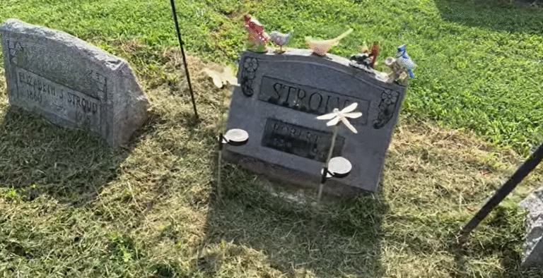 Birdman Illinois Prisoner: The True Story Behind America’s Most ...