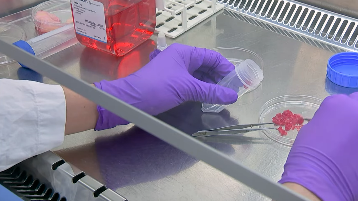 Lab-Grown Meat: USDA Approves Sale of Cultivated Chicken—Would You Eat ...